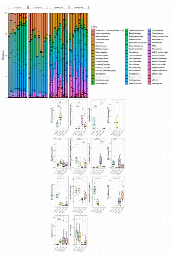 Impact Of High Salt-Intake On A Natural Gut Ecosystem in Wildling Mice ...
